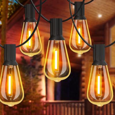 China Led Outdoor Lights with Warm White Light Color and Input Voltage of AC 110V/220V for sale