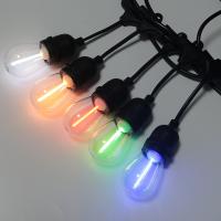 China Stake Installation Solar Powered LED Lights Outdoors Toughened Glass Lampshade for Weather-Resistant Lighting for sale