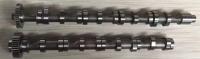 China Engine Camshaft for VW 2.0 TDi 03L109021E 03L109022D High Quality Automotive Parts for sale