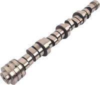 China Camshaft 53022314AD for Chrysler Jeep 5.7L Hemi Engine Brand New 2009-2021 for sale