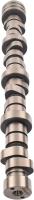 China Camshaft 53022314AD for Chrysler Jeep 5.7L Hemi Engine Brand New 2009-2021 for sale