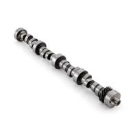 China Camshaft for EA111 1.6T 1.4T Engine Parts 032109101 Casting Cam Shaft 257 Duration for sale