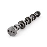 China Camshaft for EA111 1.6T 1.4T Engine Parts 032109101 Casting Cam Shaft 257 Duration for sale