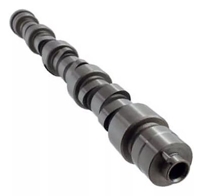China Engine Camshaft for Arbol De Levas Neon 2.0 for sale