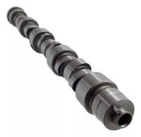China Engine Camshaft for Arbol De Levas Neon 2.0 for sale