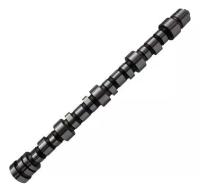 China Engine Camshaft for Arbol De Levas Neon 2.0 for sale