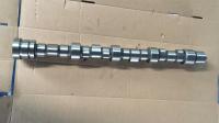 China Engine Camshaft for Arbol De Levas Neon 2.0 for sale