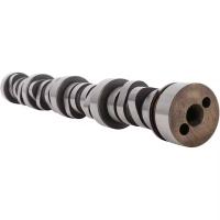China Camshaft T101067 12560967 5.3L V8 Engine Cam for Buick Cadillac Chevrolet GMC for sale