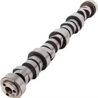 China Camshaft T101067 12560967 5.3L V8 Engine Cam for Buick Cadillac Chevrolet GMC for sale