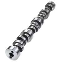China Factory Price New Camshaft for GM Chevy Gen III IV LS1 LS2 LS3 LS9 4.8L 6.2L OE 12638427 for sale