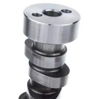 China Factory Price New Camshaft for GM Chevy Gen III IV LS1 LS2 LS3 LS9 4.8L 6.2L OE 12638427 for sale