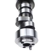 China Factory Price New Camshaft for GM Chevy Gen III IV LS1 LS2 LS3 LS9 4.8L 6.2L OE 12638427 for sale