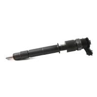 China Diesel Fuel Injector 0445110250 for Ford Ranger Mazda BT-50 WLAA13H50 WLAA-13-H50 for sale