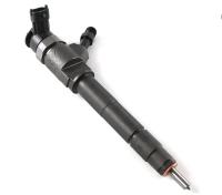 China Diesel Fuel Injector 0445110250 for Ford Ranger Mazda BT-50 WLAA13H50 WLAA-13-H50 for sale