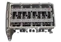 China Complete Cylinder Head Assembly 2.4L Diesel Engine H9FB for Industrial Machinery for sale