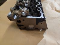 China Toyota 1HD Engine Cylinder Head 4.2T 12V 1HD-T 24V 1HD-FT 1HD-FTE 11101-17020 11101-17044 for sale