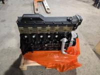 China Toyota Land Cruiser 1HD-12V 4.2L Diesel Engine Long Block Assembly OEM Quality Cast Iron Cylinder Block with Head for sale