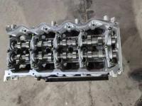 China YD25 Engine Assembly Long Block for Nissan Navara Pathfinder Cabstar Pick-up 2.5L Durable Cast Iron for sale