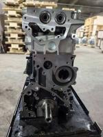 China YD25 Engine Assembly Long Block for Nissan Navara Pathfinder Cabstar Pick-up 2.5L Durable Cast Iron for sale