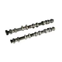 China Intake and Exhaust Camshaft for SUZUKI J24B Engine 2.4L Auto Parts for sale
