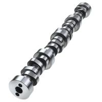 China Factory Direct Camshaft for GM Chevy Gen III IV LS1 LS2 LS3 LS9 4.8L 6.0L 6.2L OE 12638427 for sale