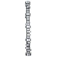 China Factory Direct Camshaft for GM Chevy Gen III IV LS1 LS2 LS3 LS9 4.8L 6.0L 6.2L OE 12638427 for sale