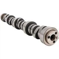 China Camshaft T101067 12560967 Fit for Chevy Silverado 1500 2000-2006 Buick Rainier 2004 for sale