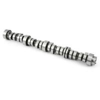 China Engine Camshaft 12625436 for Chevrolet Silverado Sierra Tahoe GMC 5.3L for sale
