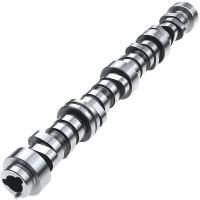 China Engine Camshaft 12625436 for Chevrolet Silverado Sierra Tahoe GMC 5.3L for sale