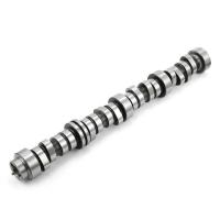 China Engine Camshaft 12625436 for Chevrolet Silverado Sierra Tahoe GMC 5.3L for sale