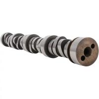 China Hydraulic Roller Tappet Camshaft T101067 12560967 Fit Chevy Silverado Buick Rainier 2500-6200 RPM for sale