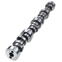 China GM Chevy LS1 LS2 LS3 LS9 Camshaft 4.8L 5.3L 6.0L 6.2L Diesel Engine Auto Spare Parts for sale