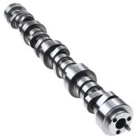 China GM Chevy LS1 LS2 LS3 LS9 Camshaft 4.8L 5.3L 6.0L 6.2L Diesel Engine Auto Spare Parts for sale