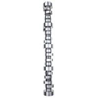 China GM Chevy LS1 LS2 LS3 LS9 Camshaft 4.8L 5.3L 6.0L 6.2L Diesel Engine Auto Spare Parts for sale