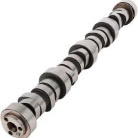 China Engine Camshaft T101067 12560967 4.8L 5.3L V8 OHV for Chevy Silverado 1500 2000-2006 for sale