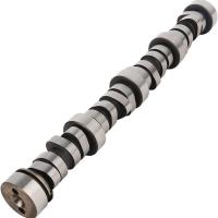China Engine Camshaft T101067 12560967 4.8L 5.3L V8 OHV for Chevy Silverado 1500 2000-2006 for sale