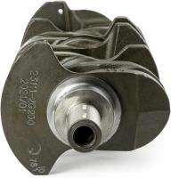 China Engine Crankshaft 23111-2G200 Compatible with Sonata Kia Forte Optima Sportage 2.4L G4KJ G4KE for sale
