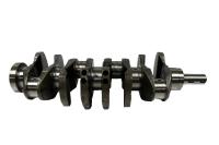 China Nissan YD25 Crankshaft YD25DDT 12200-AD200 Cast Alloy Steel New Engine Part for sale