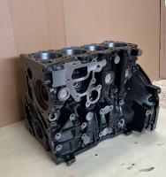 China YD25 Engine Diesel Cylinder Block OEM 11040-5M300 for Nissan Almera Cabstar Frontier Standard Size for sale