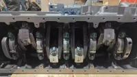 China New for  6CT 8.3C Short Block Diesel Machinery Engine Parts 21700662 for sale
