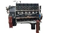 China MAN D0836 Auto Engine Basic Engine Assembly for Man D0836 in Stock Auto Parts for sale