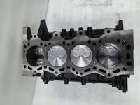 China New Engine Short Block BT50 B2500 Courier Ranger 2.5L Diesel WL-T 12 Months Warranty for sale