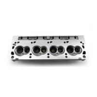 China Brand New Ford 302 Aluminum Cylinder Head for 1987-1995 5.0L GT40 Cobra Engine for sale