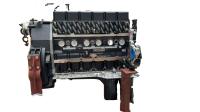 China Full New Original Auto Engine Man 0836 for Man D0836 Basic Engine Assembly for Man in Stock for sale