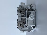 China 1TR-FE Complete Cylinder Head Assembly 11101-75141 for Toyota Hilux Tacoma Coaster 11101-0C020 11101-0C010 for sale