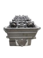 China GAZEL 406 Auto Engine Cylinder Head 406.3906562 406.1003009-3 RC-LD001 for LADA 406 Engine for sale