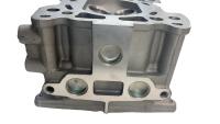 China Auto Engine TB48 TB48-DE Cylinder Head 11041-VC200 11041VC200 for Nissan Patrol OEM Standard Aluminum for sale