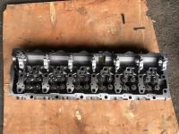 China Bare Cylinder Head for MAN D2066 Euro 5 Euro 6 Diesel Truck Engine 51031006079 for sale