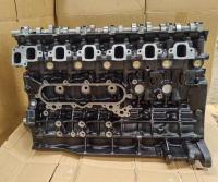 China Brand New 1HZ 4.2L Diesel Engine Long Block for Toyota Land Cruiser Coaster Bus for sale