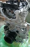 China Isuzu 4JJ1 Engine Long Block for Ecomax NPR Truck 3.0L Diesel Assembly for sale